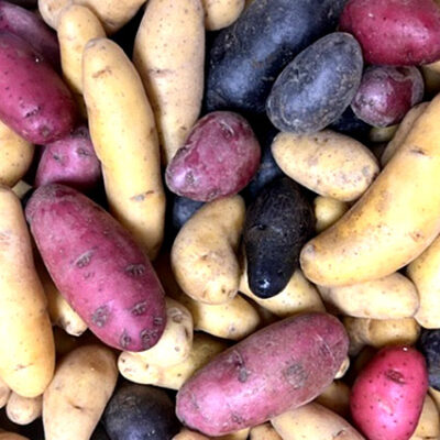 Shop Retail – Sun Valley Potatoes